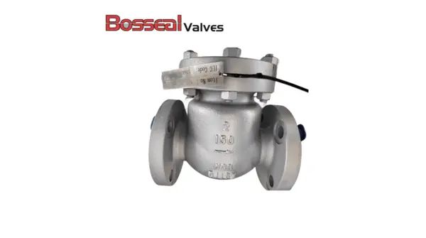 API 594 Swing Check Valve, 2 IN, 150 LB, BS 1868, A216 WCB | Bosseal