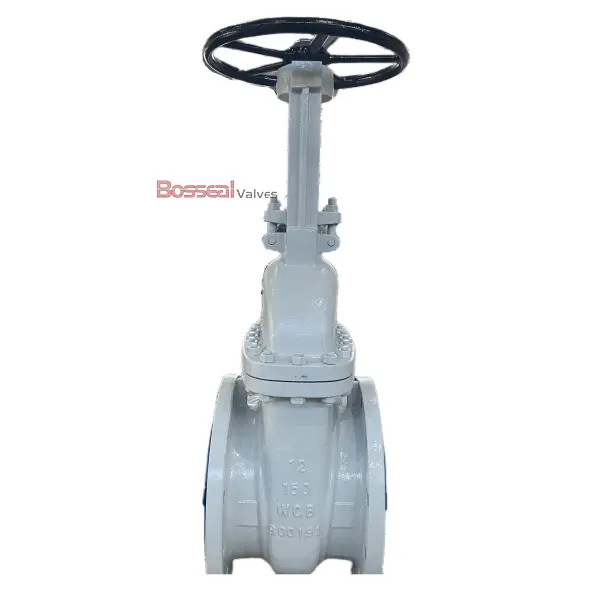 ASTM A351 CF8 Wedge Gate Valve, 32 Inch, 600 LB, RF Flanged - Bosseal