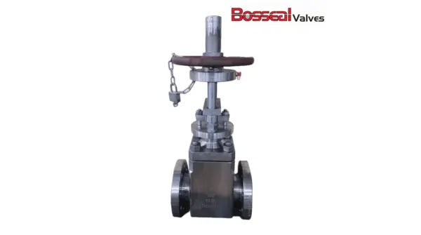 ASTM A182 F316 Gate Valve, 2 Inch, 300 LB, ASME B16.34, RF | Bosseal