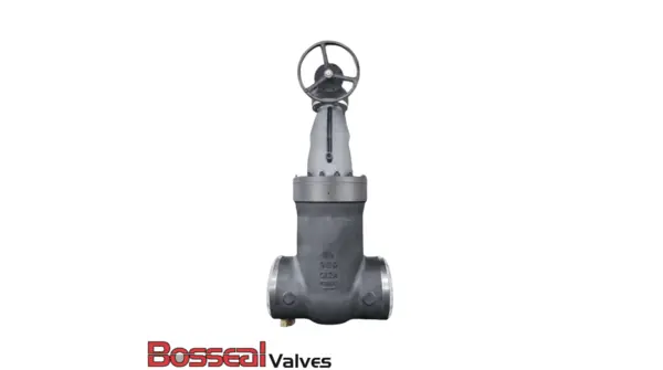 20 Inch Gate Valve, API 600, 900 LB, ASTM A217 C12A, BW | Bosseal