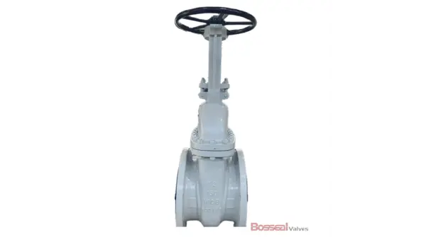 ASTM A351 CF8M Gate Valve, BB, OS&Y, 12 IN, CL600, API 600 | Bosseal