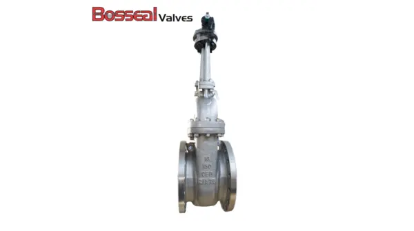 API 600 Gate Valve, 18 IN, 150 LB, API 603, ASTM A351 CF8, RF | Bosseal