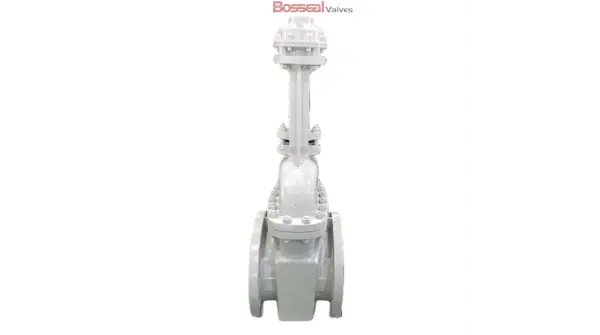ASTM A890 5A Gate Valve, API 600, 8 Inch, 150 LB, OS&Y | Bosseal