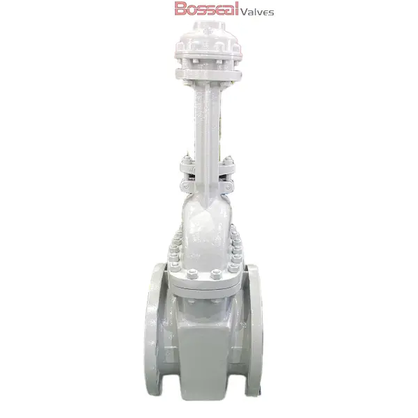 ASTM A890 5A Wedge Gate Valve, 8 Inch, CL 600 LB, OS&Y - Bosseal
