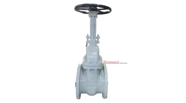 Bolted Bonnet Gate Valve, API 600, B148 C95800, 24 IN, 300 LB | Bosseal