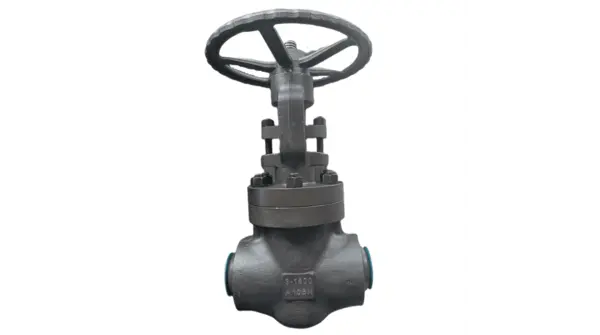 Bolted Bonnet Forged Gate Valve, API 600, A105, 3IN, 1500LB | Bosseal