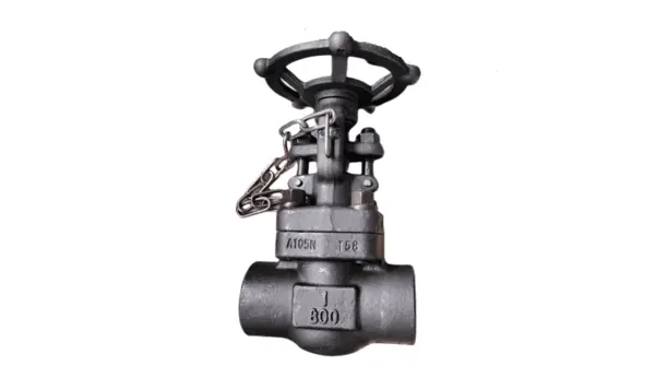 API 602 Forged Gate Valve, A105N, 1-1/2 Inch, 800 LB, SW | Bosseal