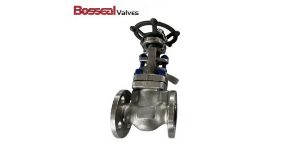 ASTM A182 F51 Gate Valve, ASME B16.34, 2 Inch, 150 LB, RF | Bosseal