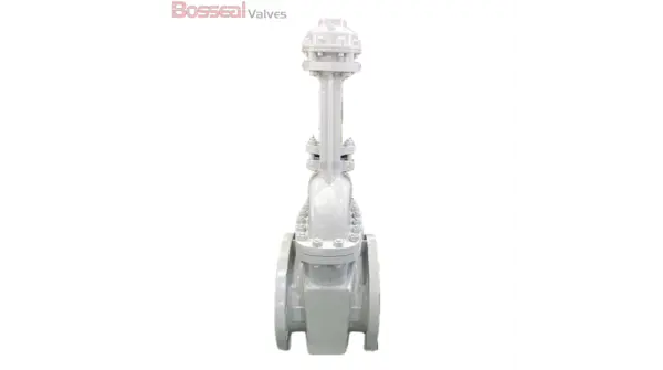 ASTM A351 CF8 Gate Valve, 20 IN, CL 900 LB, OS&Y, PSB, SS | Bosseal