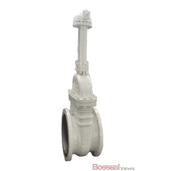 ASTM A351 CF8 Gate Valve, 10 IN, CL 2500 LB, OS&Y, PSB, SS - Bosseal