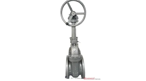 Bolted Bonnet Gate Valve, ASTM B148 C95800, API 600, 10 IN | Bosseal
