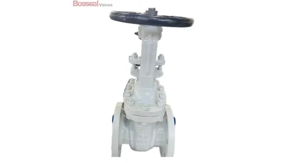 ASTM A352 LCB Wedge Gate Valve, 20 Inch, CL 1500 LB, OS&Y | Bosseal
