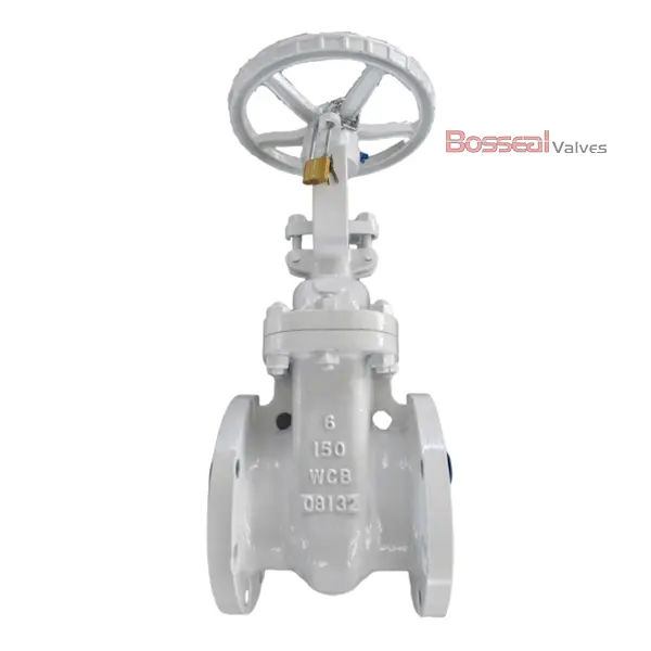 Flexible Wedge Gate Valve, CF8M, 36 Inch, 300 LB, RF Flanged - Bosseal