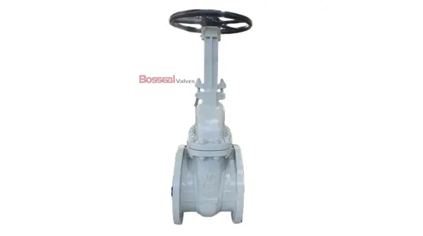 Flexible Wedge Gate Valve, 24 IN, CL150, ASTM B148 C95800 | Bosseal