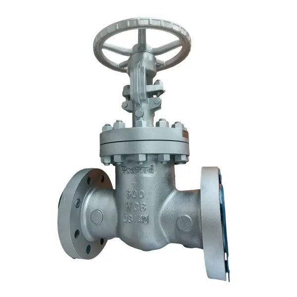 ASTM B148 C95800 Gate Valve, 24 IN, CL 600 LB, OS&Y, PSB - Bosseal