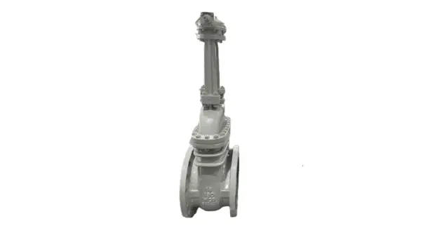 Bolted Bonnet Gate Valve, API 600, WCB, 16 Inch, 150 LB | Bosseal