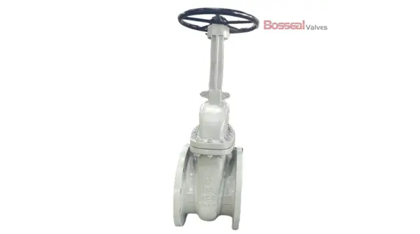 Bolted Bonnet Gate Valve, API 600, ASTM A890 4A, 20 Inch | Bosseal