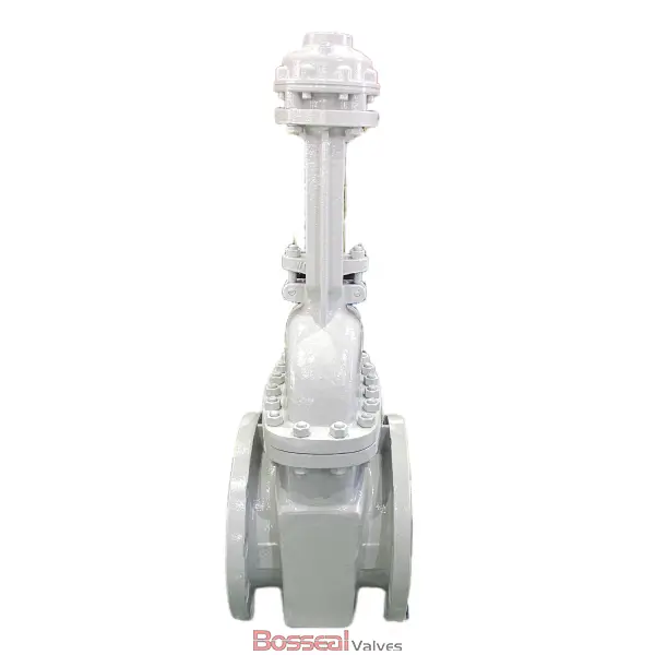 Stainless Steel Gate Valve, ASTM A351 CF8M, 12 IN, ANSI 150 - Bosseal