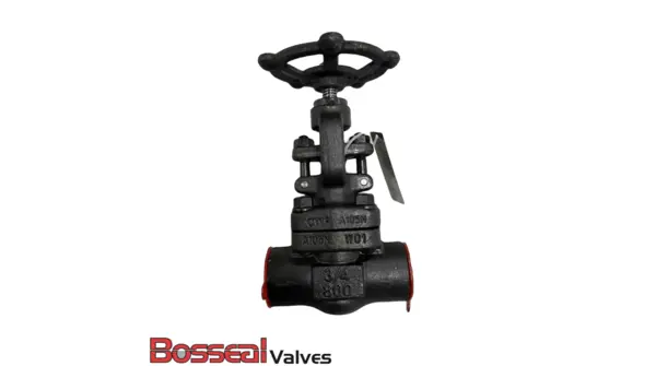 ASTM A350 LF2 Gate Valve, 1IN, CL800, API 602, ASME B16.34 | Bosseal