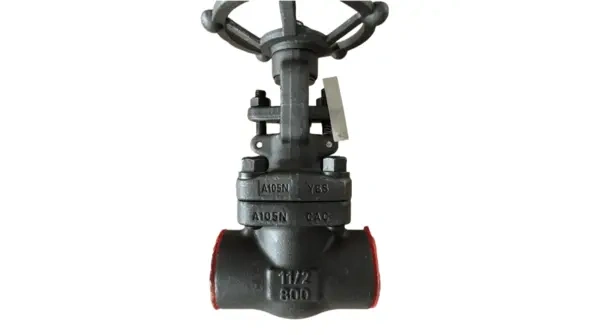 Bolted Bonnet Forged Gate Valve, 1-1/2 Inch, 800 LB, SW | Bosseal