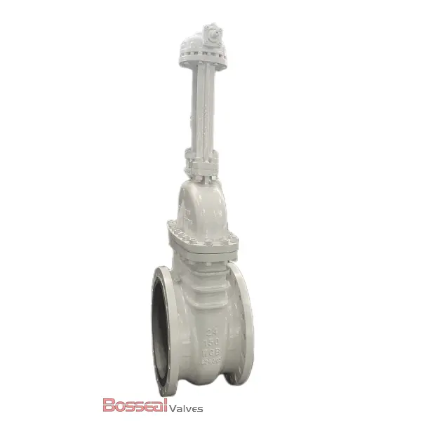 ASTM A351 CF8 Gate Valve, 20 IN, CL 900 LB, OS&Y, PSB, SS - Bosseal