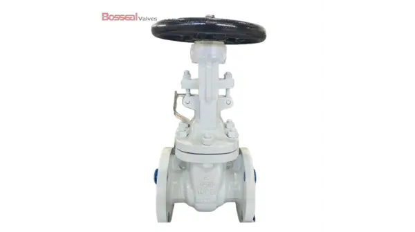 ASTM A890 4A Gate Valve, 6 IN, ANSI 150, Bolted Bonnet | Bosseal