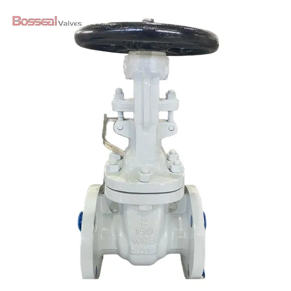 ASTM A890 4A Gate Valve, 6 IN, ANSI 150, Bolted Bonnet - Bosseal