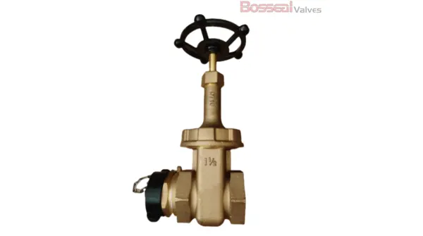 MSS SP-80 Gate Valve, B62 C83600, 2 IN, 150 LB, Threaded - Bosseal
