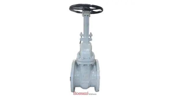 Stainless Steel Gate Valve, ASTM A351 CF8M, 12 IN, ANSI 150 | Bosseal