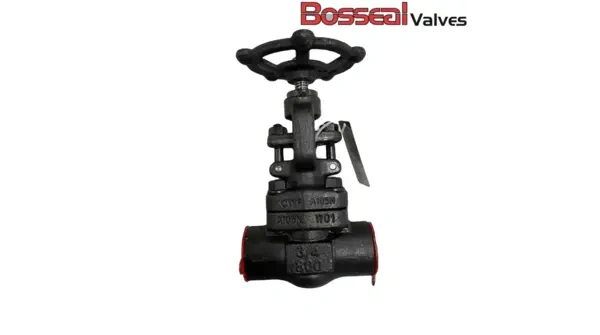 Class 800 Gate Valve, 2 Inch, ASTM A350 LF2, ASME B16.34, SW | Bosseal