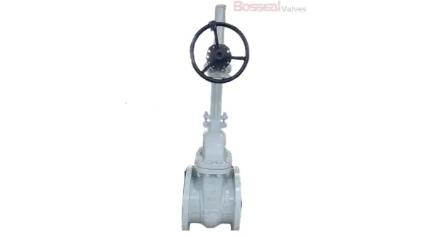 Duplex Stainless Steel Gate Valve, A890 4A, 6IN, CL2500 | Bosseal