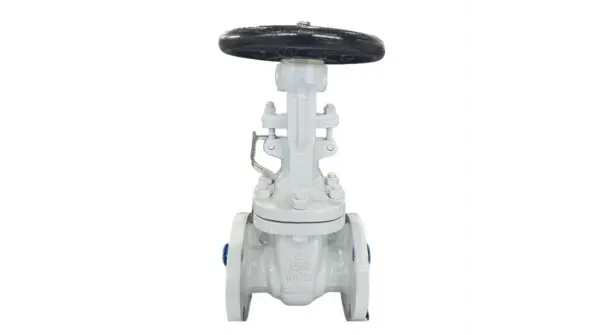 NACE MR0175 Gate Valve, API 600, 2 Inch, 150 LB, WCB, RF | Bosseal