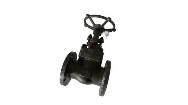 ASME B16.34 Flanged Gate Valve, 2 Inch, 150 LB, API 602 | Bosseal