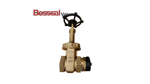 ASTM B62 C83600 Gate Valve, DN25, PN16, MSS SP-70, NPT | Bosseal