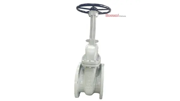 Bolted Bonnet Gate Valve, A351 CF8, 3 IN, CL 300, API 600 | Bosseal