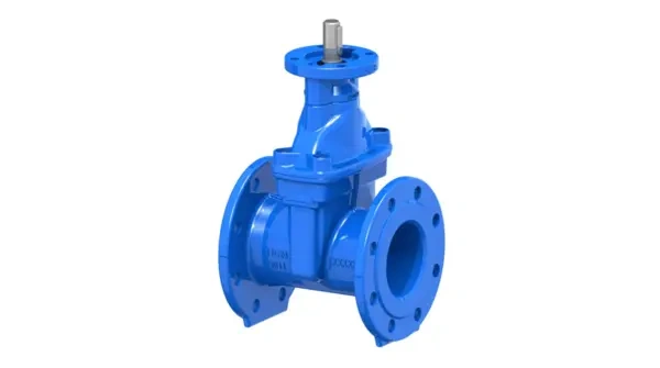 BS 5163 Resilient Seated Gate Valve, EN 558-3, 6 IN, 150 LB | Bosseal