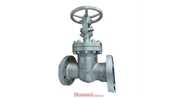 Bolted Bonnet Gate Valve, Trim 8, WCB, 2 IN, CL 900, API 600 | Bosseal