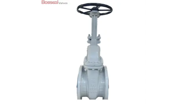 ASTM A352 LCB Gate Valve, BB, OS&Y, 14 IN, CL300, API 600 | Bosseal