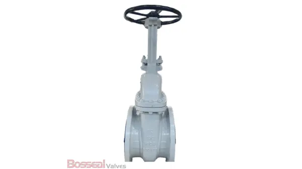 ASTM A351 CF8M Gate Valve, API 600, OS&Y, 2-1/2 IN, CL2500 | Bosseal