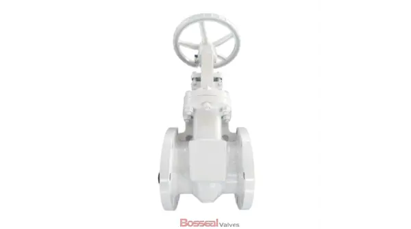 ASTM A351 CF8M Gate Valve, 4 Inch, 900 LB, OS&Y, API 600 | Bosseal