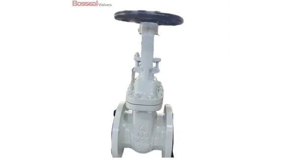 ASTM A352 LCB Gate Valve, 2-1/2 IN, 150 LB, Bolted Bonnet | Bosseal