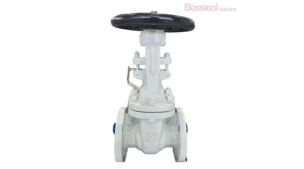ASTM A351 CF8 Gate Valve, 10 IN, CL 2500 LB, OS&Y, PSB, SS | Bosseal
