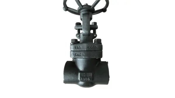 Regular Bore Forged Gate Valve, A105, 1-1/2 IN, 1500 LB, SW | Bosseal