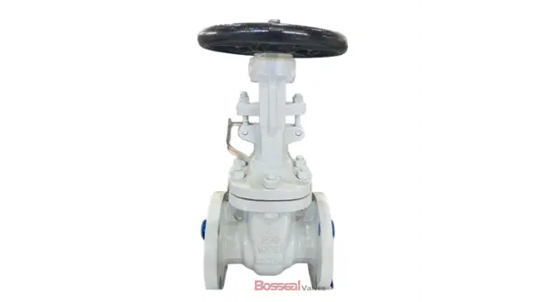API 600 Gate Valve, 30 IN, 150 LB, ASTM A352 LCB, RF Flanged | Bosseal