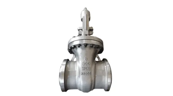 API 600 Wedge Gate Valve, 8 Inch, 300 LB, BW, WCB | Bosseal