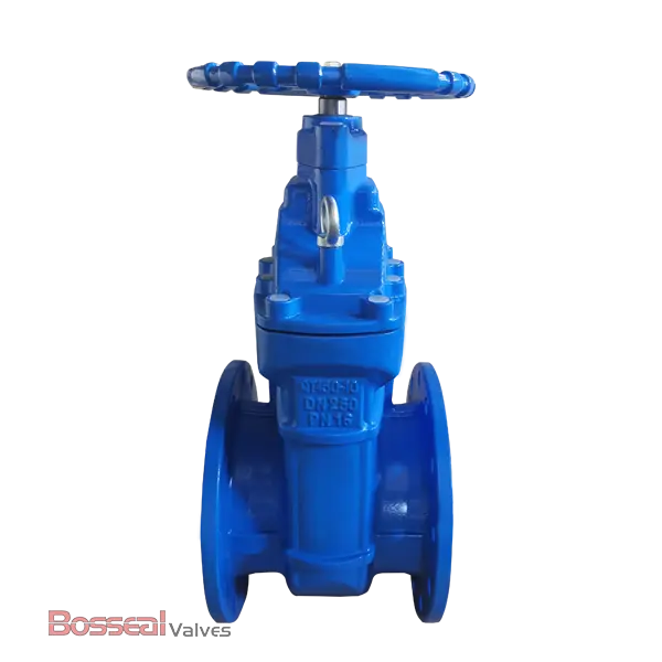 AWWA Resilient Gate Valve, PN15, DN80, ASTM A536 - Bosseal
