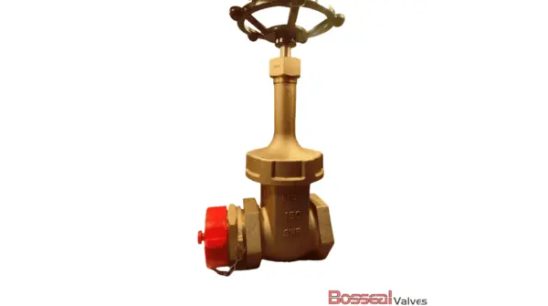 MSS SP-80 Bronze Gate Valve, ASTM B62, 2 IN, CL 200 LB | Bosseal