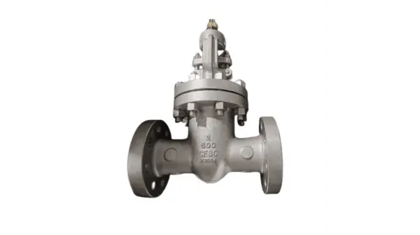ASTM A351 CF8C Gate Valve, API 600, 603, 2 Inch, 600 LB, RF | Bosseal