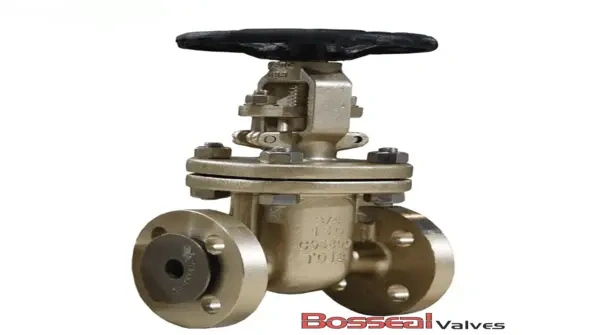 Bolted Bonnet Gate Valves, Al-Bronze C95800, 6 Inch, CL150 | Bosseal