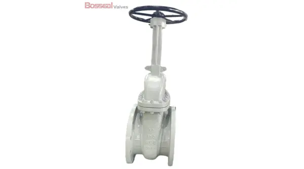 ASTM B148 C95800 Wedge Gate Valve, 3 Inch, 1500 LB, RTJ | Bosseal